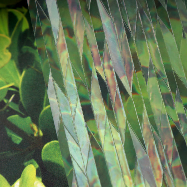 Window Illusions VIII | ASK913 Wallpaper | Astek Home