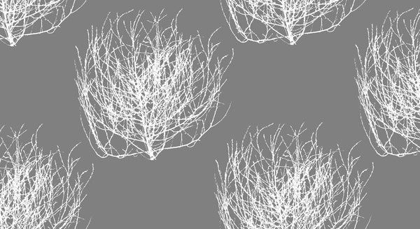 Tumbleweed Wallpaper | Astek Home