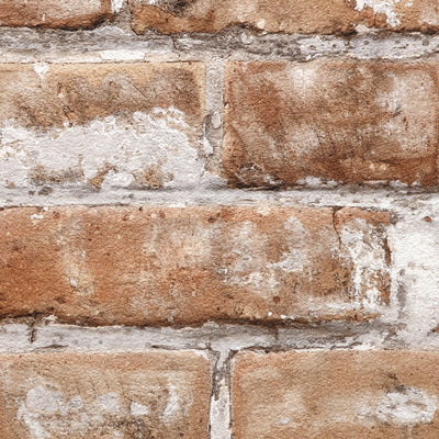 Shop the Wallpaper Library Page 16 | Astek Home